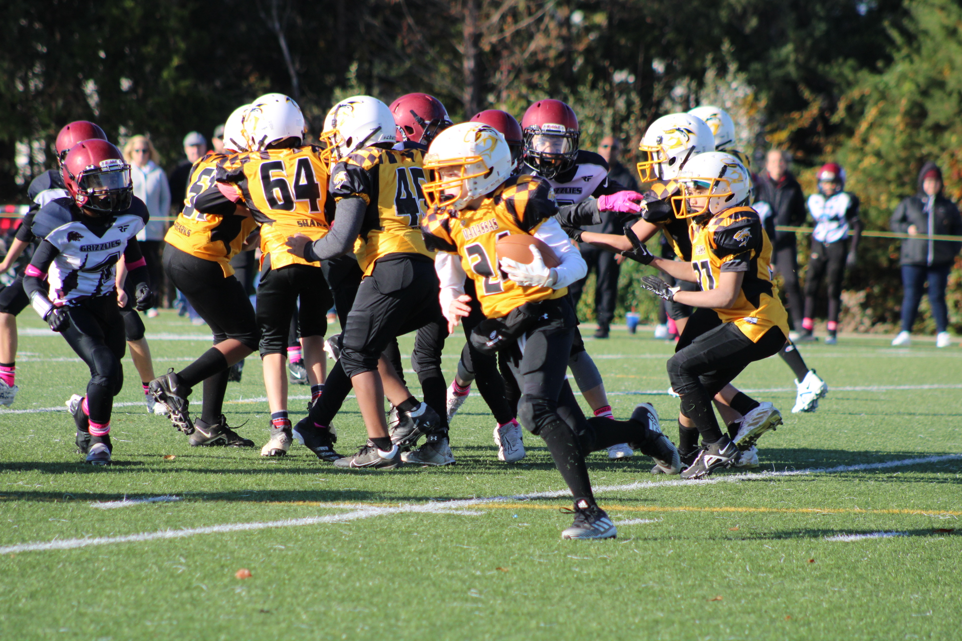 Sharks General Information | Manassas Youth Football League
